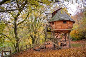 What Are Small Houses Called? (17 Styles Explained) | GoDownsize