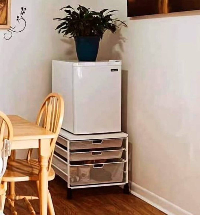 12 Great Storage Ideas For Small Fridges | GoDownsize