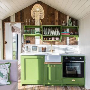 22 Green Kitchen Designs For Small Spaces | GoDownsize