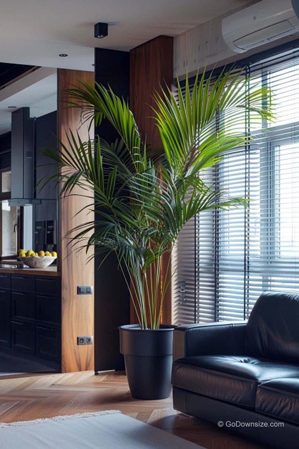 18 Indoor Palm Tree Ideas That Look Amazing | GoDownsize