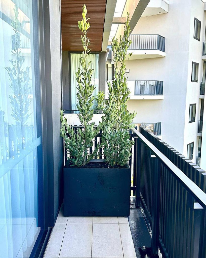 19 Balconies With Trees That Just Look Amazing | GoDownsize