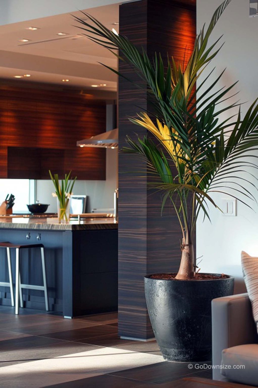 18 Indoor Palm Tree Ideas That Look Amazing | GoDownsize
